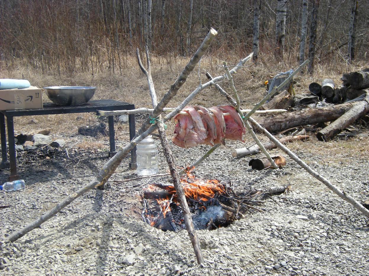 Metis Application Ontario | semashow.com